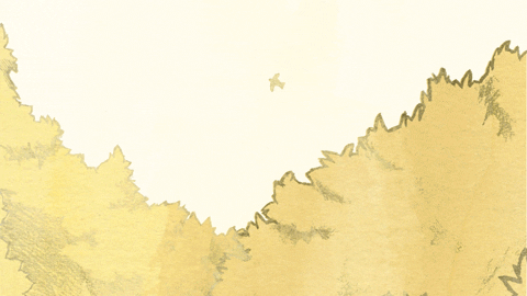 Clear-the-sky GIFs - Get the best GIF on GIPHY