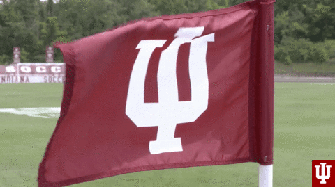 Indiana University Flag GIF by Indiana Athletics - Find & Share on GIPHY