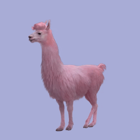 Pink Dancing GIF by Jules Mumm - Find & Share on GIPHY