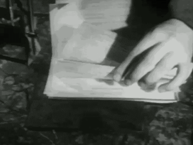 Stamp GIFs - Find & Share on GIPHY