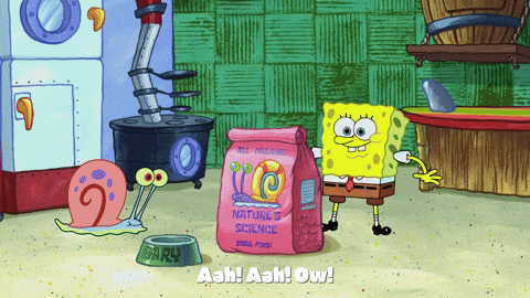 Season 9 GIF by SpongeBob SquarePants - Find & Share on GIPHY