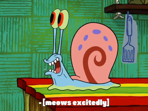 Season 8 Barnacle Face GIF by SpongeBob SquarePants - Find & Share on GIPHY