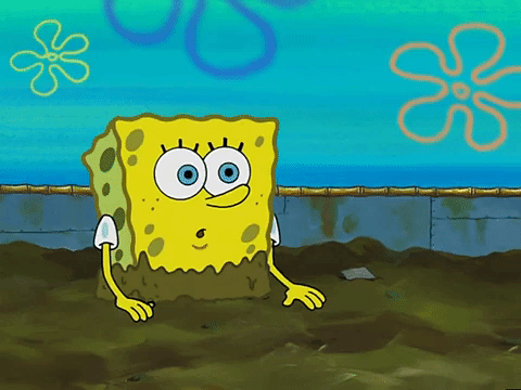 Spongebob Missing Identity