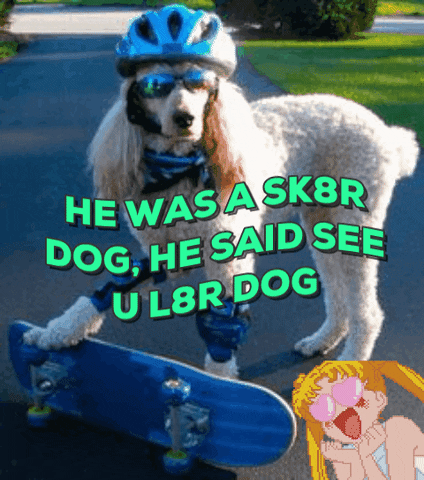 Sk8R Dogs GIFs - Get the best GIF on GIPHY