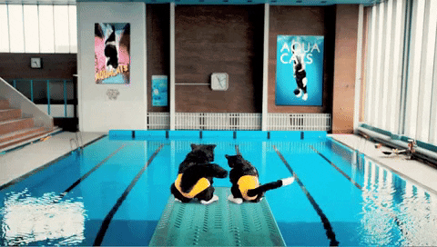Aquacats GIF by Disney XD By Maker - Find & Share on GIPHY