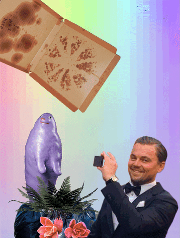 Internet-famous GIFs - Get the best GIF on GIPHY