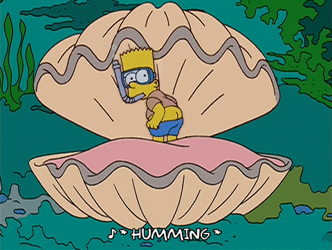 Using Snorkel GIFs - Get the best GIF on GIPHY