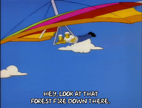 Forest-fire GIFs - Get the best GIF on GIPHY