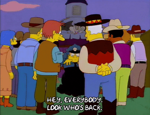 Herman-hermann GIFs - Get the best GIF on GIPHY