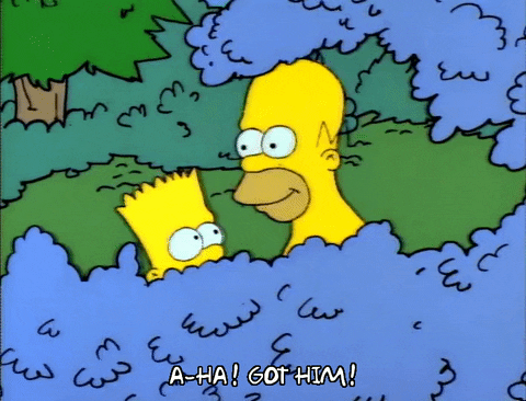 Ha Got Him GIFs - Get the best GIF on GIPHY