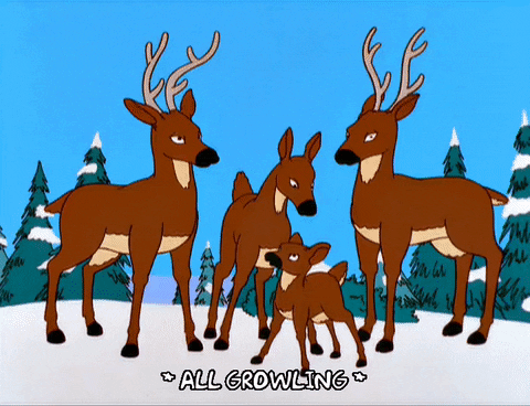 Deer Attack GIFs - Get the best GIF on GIPHY