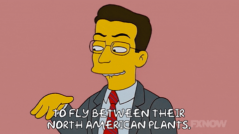 North American GIFs - Get the best GIF on GIPHY