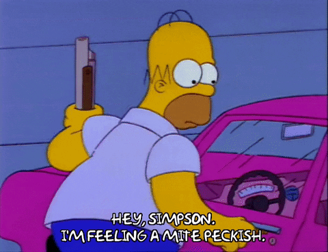 Feeling-peckish GIFs - Get the best GIF on GIPHY