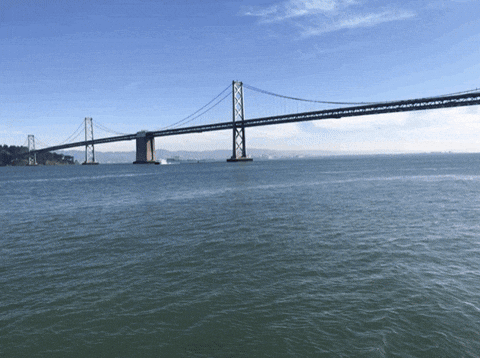 Bay Bridge Niv Shrug GIF by Product Hunt - Find & Share on GIPHY