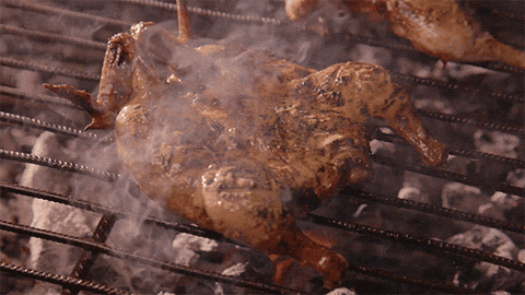 Braai GIFs - Get the best GIF on GIPHY
