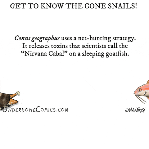 Blue-striped-snapper GIFs - Get the best GIF on GIPHY