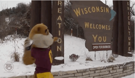 Goldy Gopher Memes