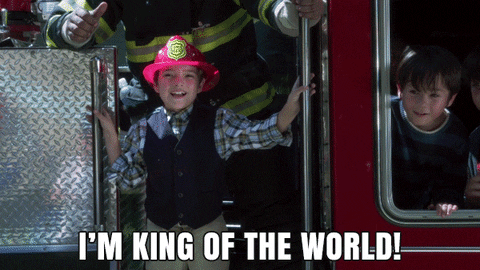 King Of The World Gif