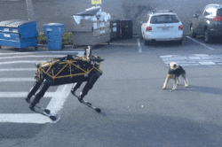 New trending GIF tagged dog robot via http… | Trending Gifs