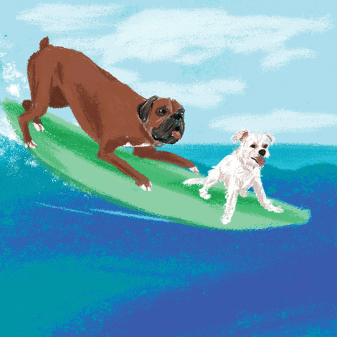 Dog Hang Ten GIF by GIPHY Studios Originals - Find & Share on GIPHY