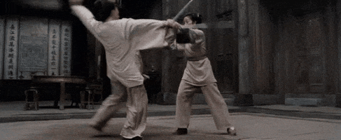 GIF by Crouching Tiger, Hidden Dragon - Find & Share on GIPHY