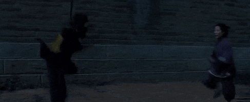 GIF by Crouching Tiger, Hidden Dragon - Find & Share on GIPHY