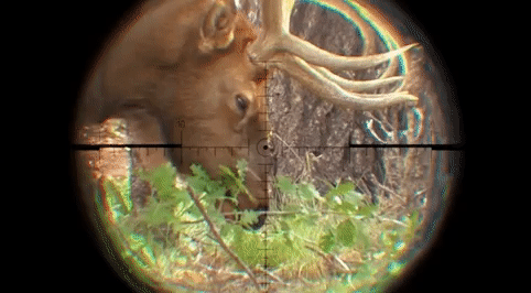 Season 2 Hunting GIF - Find & Share on GIPHY