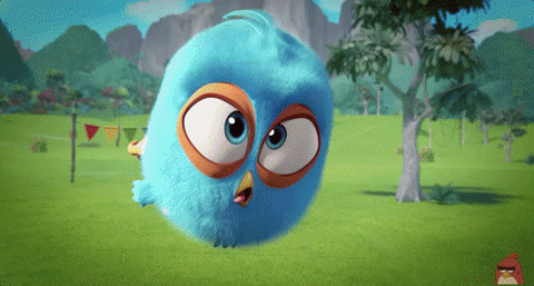 Fire Win GIF by Angry Birds - Find & Share on GIPHY