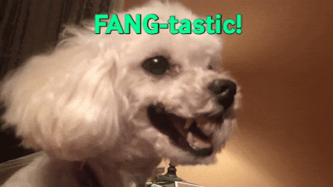 Dog Pun GIF by bjorn - Find & Share on GIPHY
