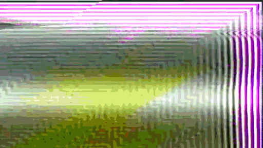 Mtv Television GIF - Find & Share on GIPHY