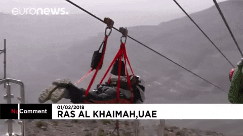 Zip Line GIF by euronews - Find & Share on GIPHY