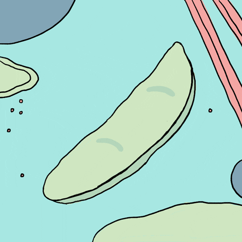 How Odd GIFs - Get the best GIF on GIPHY