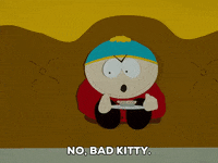 Bad Kitty Cartman