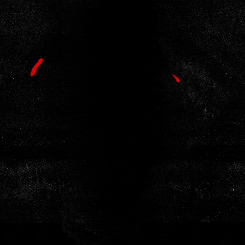 Nfl Trophy GIFs - Get the best GIF on GIPHY