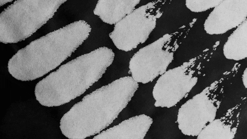 Rice Paper GIFs - Get the best GIF on GIPHY