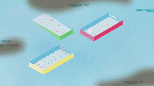 Plus Pool GIFs - Get the best GIF on GIPHY