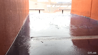 Florida Rain GIFs - Get the best GIF on GIPHY