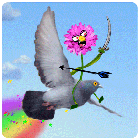 Gif Images Of Birds Birds GIFs Get The Best Gif On GIFER