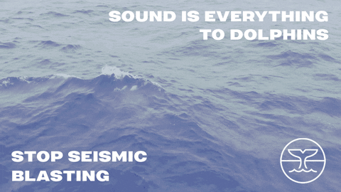 Seismic GIFs - Get the best GIF on GIPHY