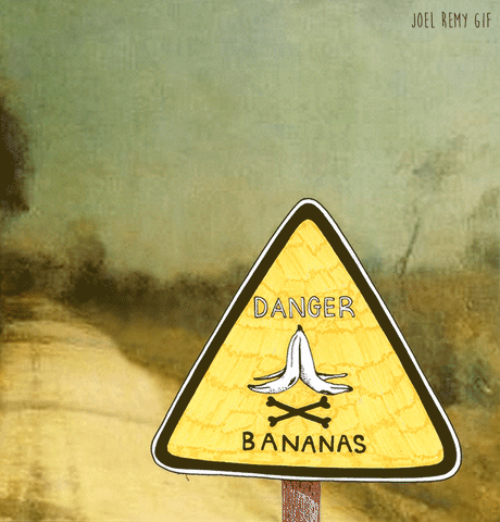 Le Bon GIFs - Get the best GIF on GIPHY