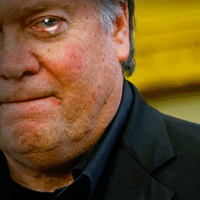 Bannon GIFs - Get the best GIF on GIPHY