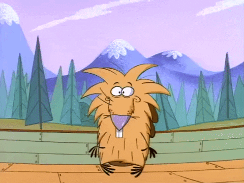 Angry Beavers Omg GIF by NickSplat - Find & Share on GIPHY