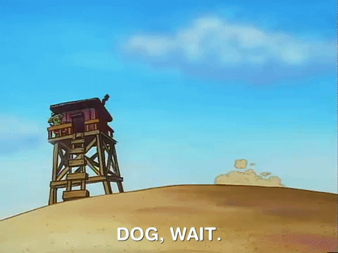 Dog Wait GIFs - Get the best GIF on GIPHY