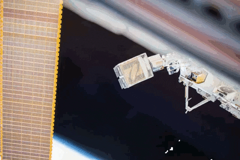 Cubesat GIFs - Get the best GIF on GIPHY