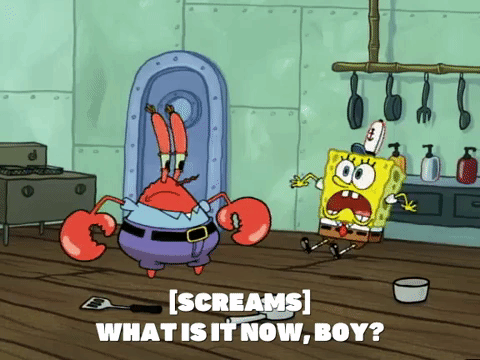 Season 5 The Original Fry Cook GIF by SpongeBob SquarePants - Find ...