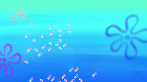 Episode 1 GIF by SpongeBob SquarePants - Find & Share on GIPHY