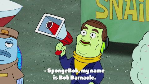 Hi My Name Is Bob