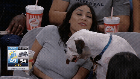 Hoops-for-hounds GIFs - Get the best GIF on GIPHY