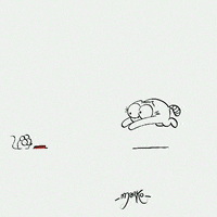 Cat Bye GIFs - Find & Share on GIPHY