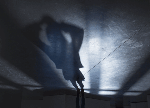 Shadow Self GIF by mezitlab - Find & Share on GIPHY